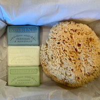 Buy French Soap in UK - Soap For Skin Care | Chateaudusavon.com